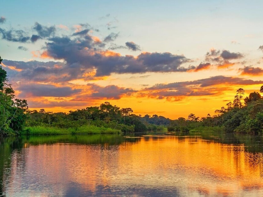 Parque Nacional del Manú: El corazón de la Amazonía - Perú Millas ...